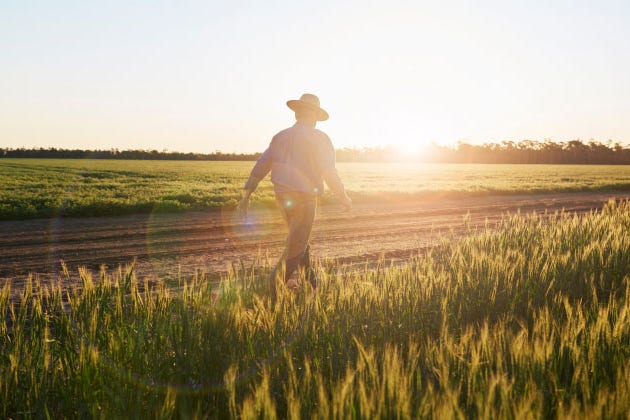 About Austrade | Austrade