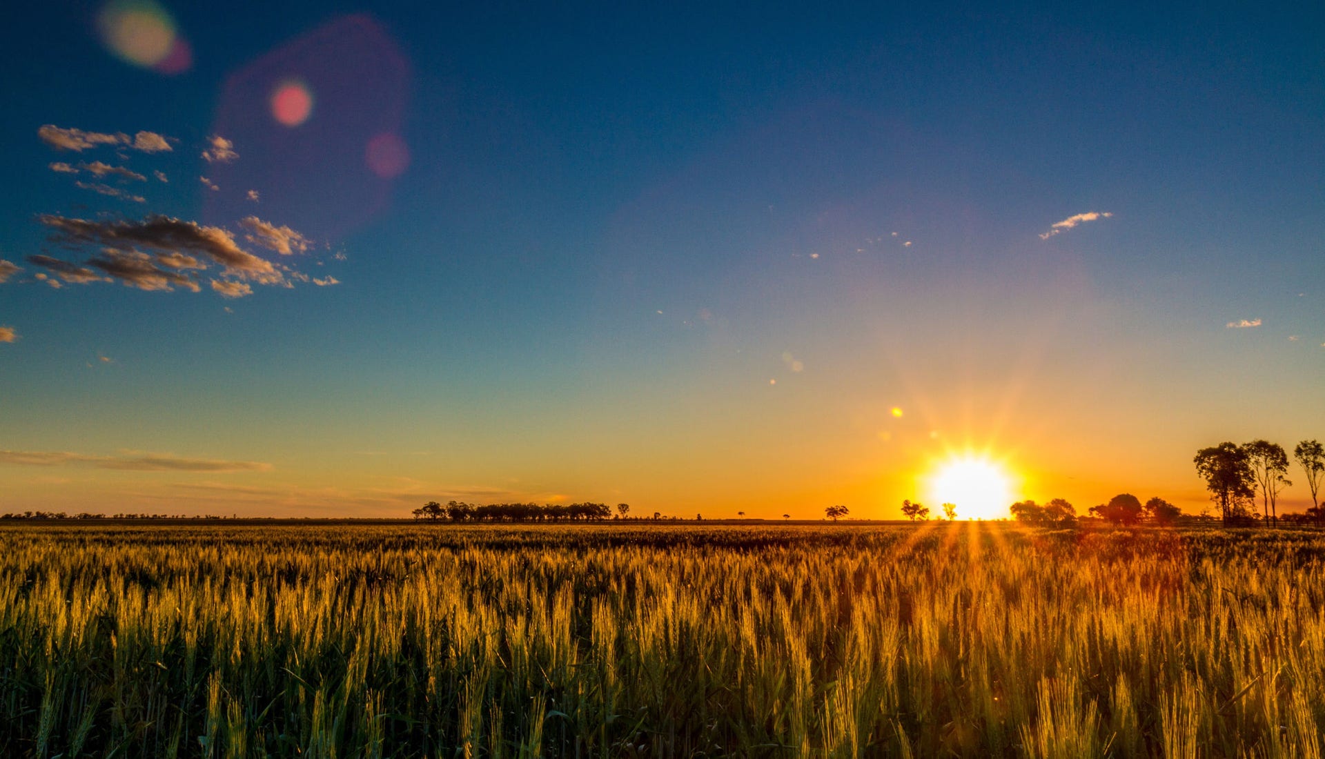 Austrade, Australian Government | Austrade